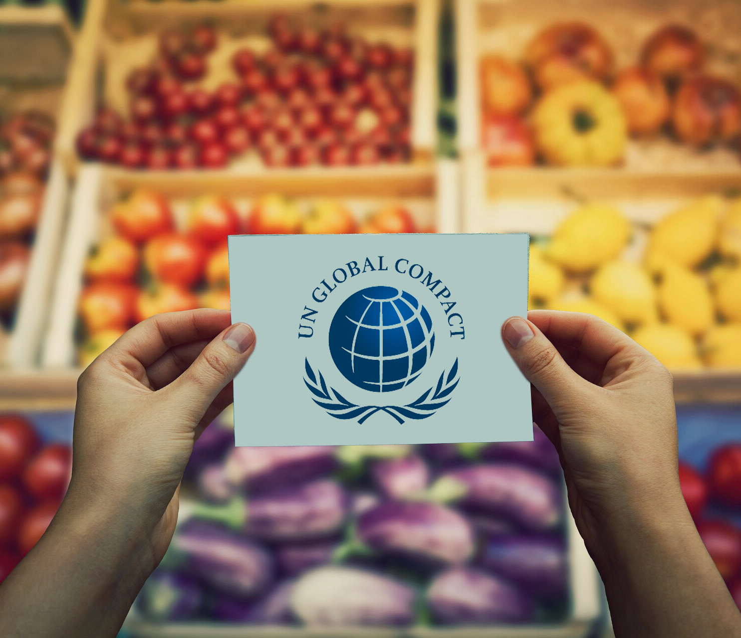 Bærekraft - GC Rieber