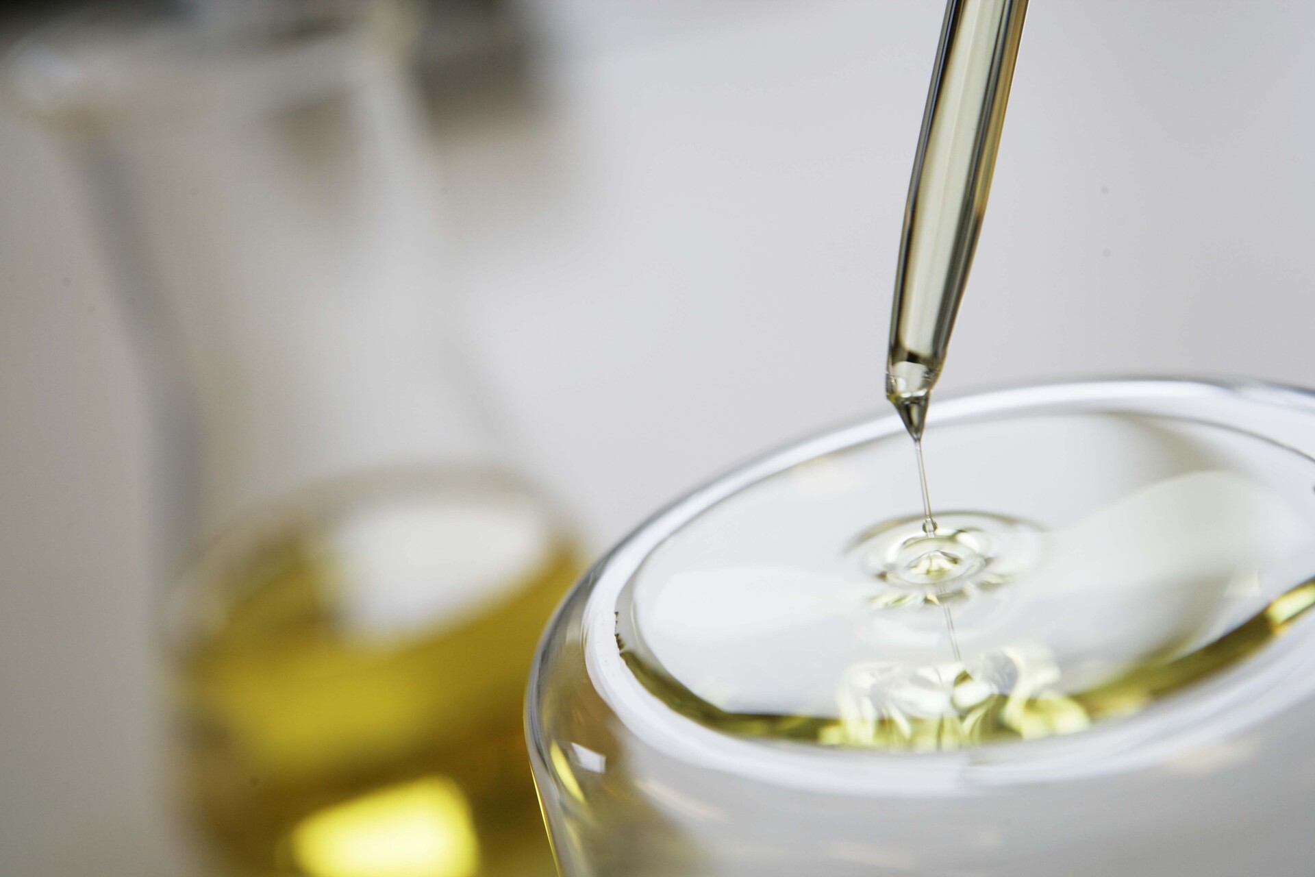 Å jobbe hos oss - GC Rieber